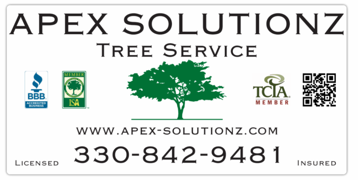 ANNOUNCING-Raven Award Winners 2023