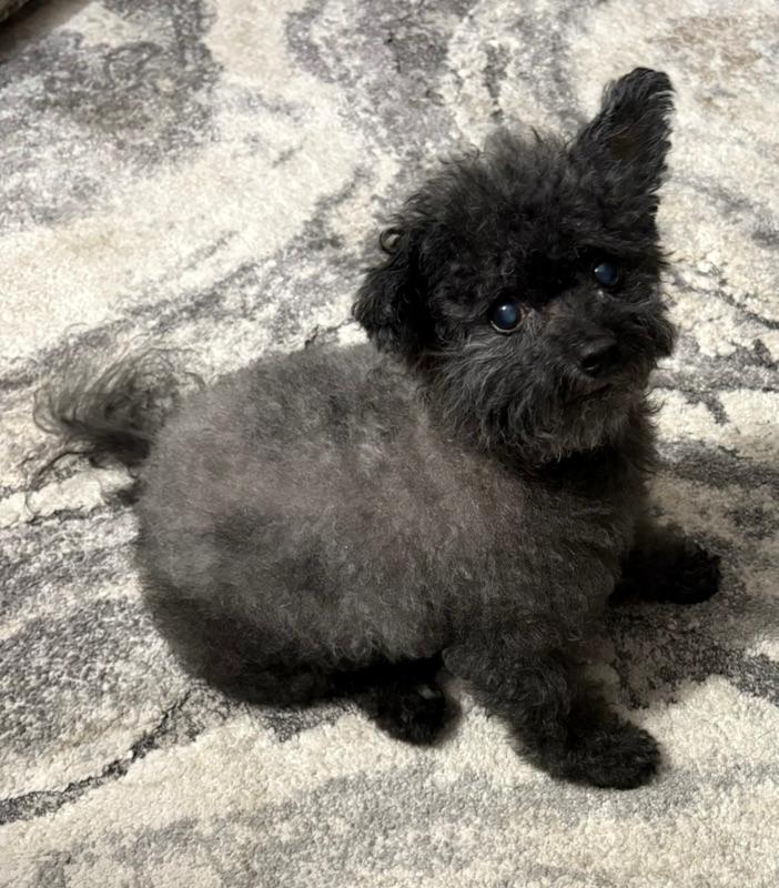 What's happening this week at Satin Stitches