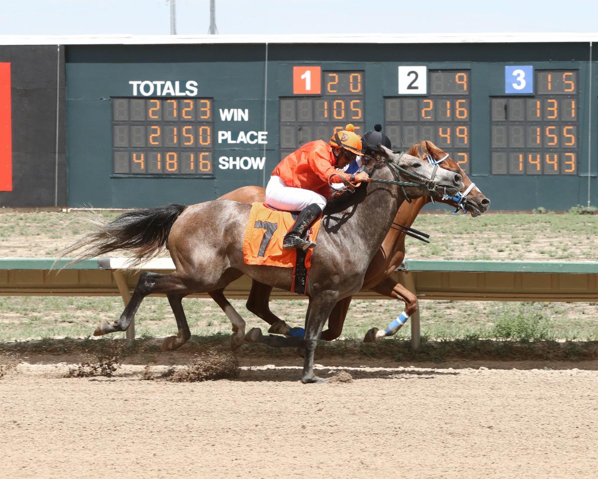 Entries for ARAC 11 September 2022 Wathba Stallions Cup