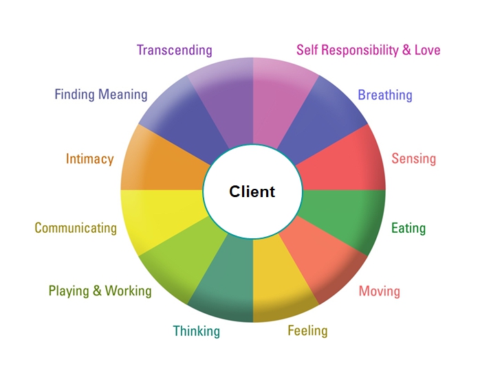 Free Webinars prior to start of May 3 Wellness Coach Certification Training