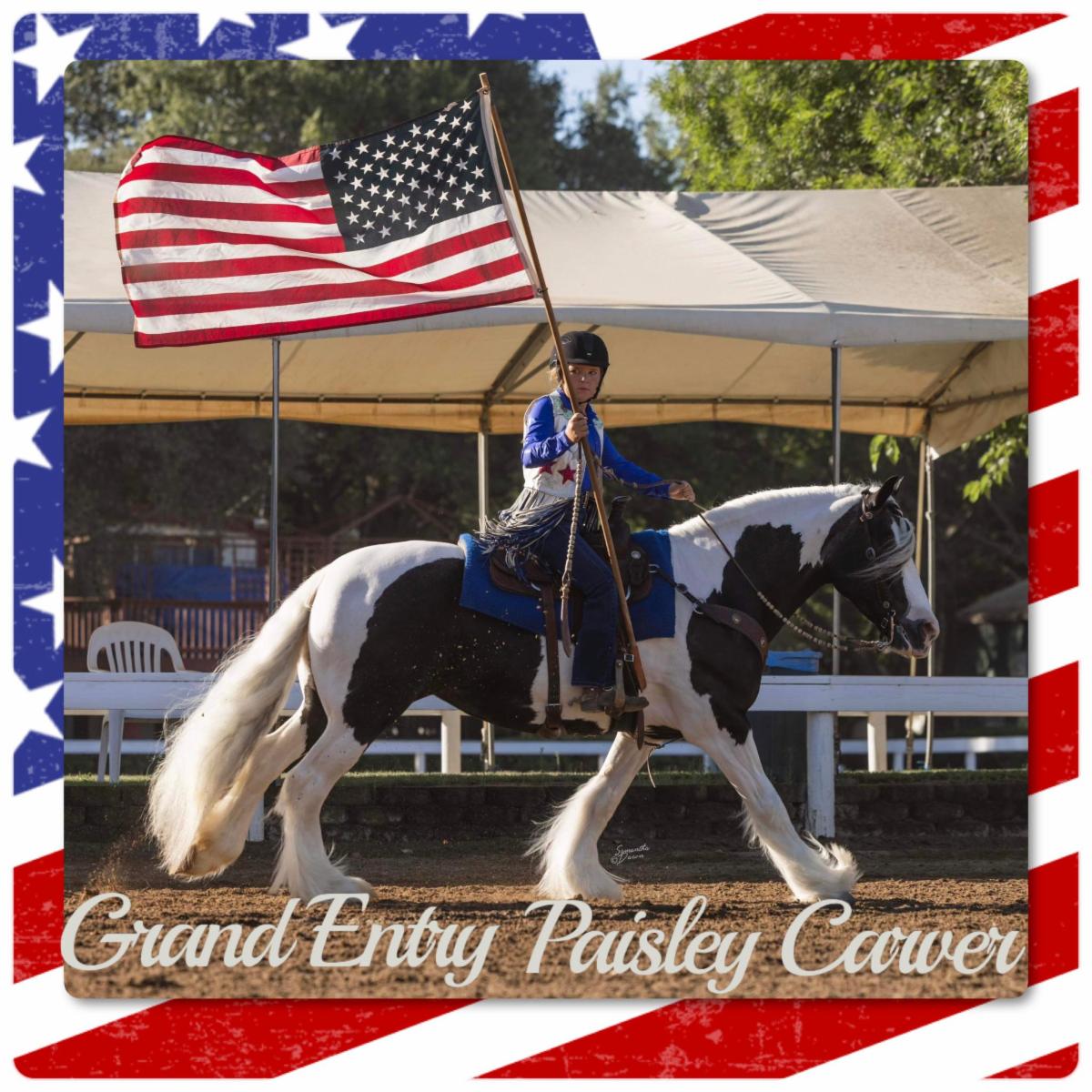 GVHS Member, Let's Go Horse Show