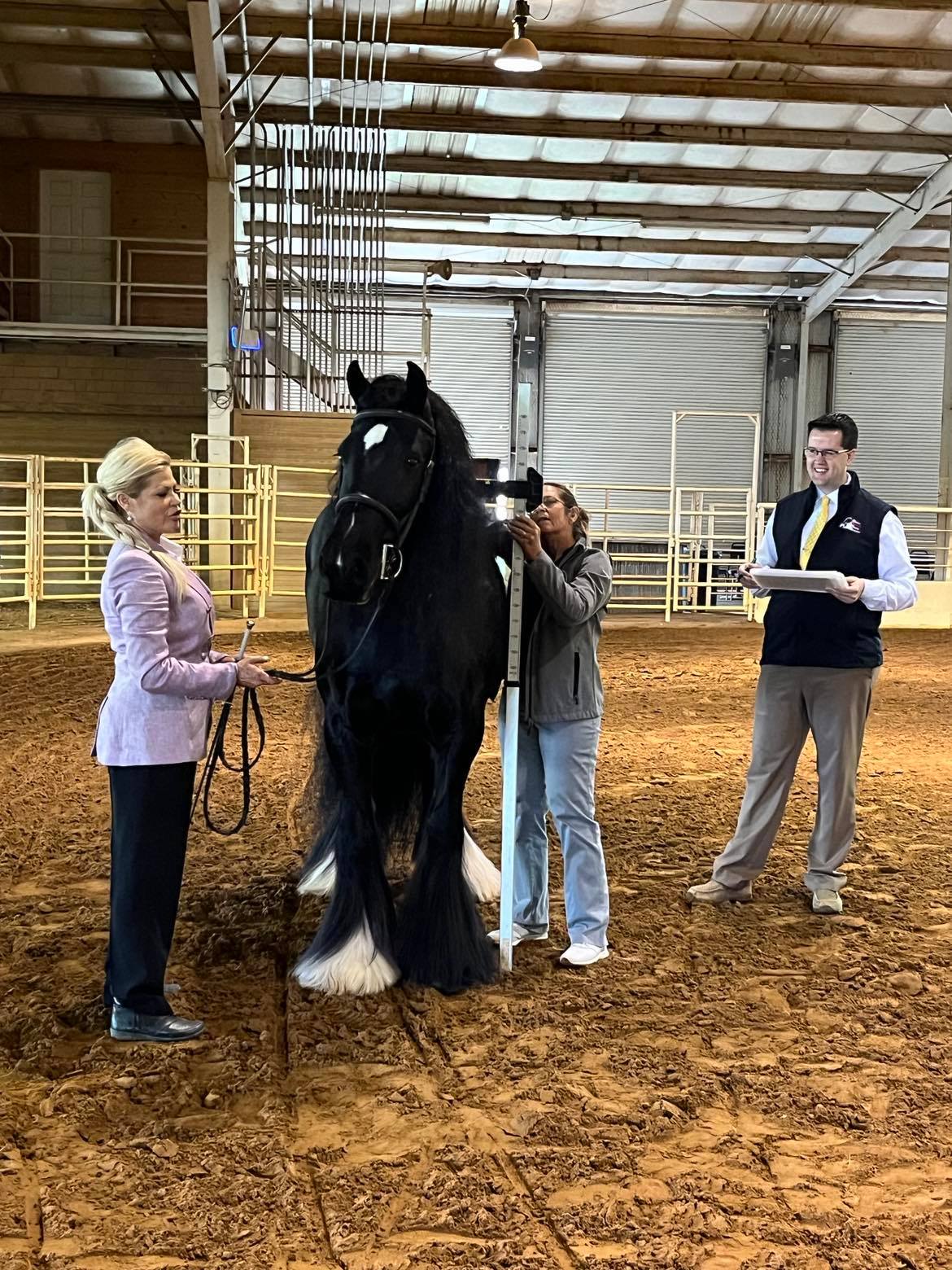 GVHS Member, Protecting the Breed Standard Through Evaluation