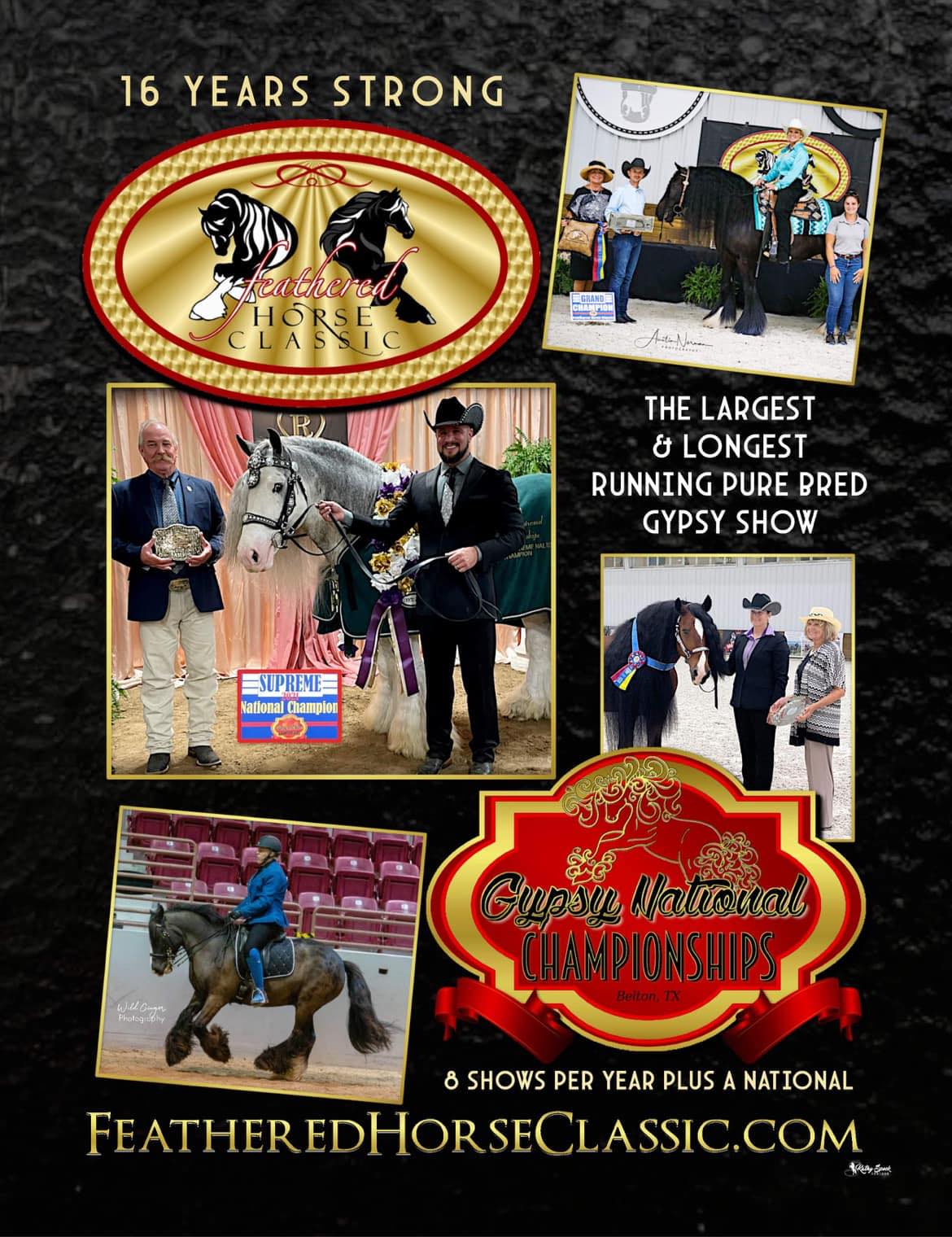 GVHS Member, It's Time Acquire Another Gypsy Vanner