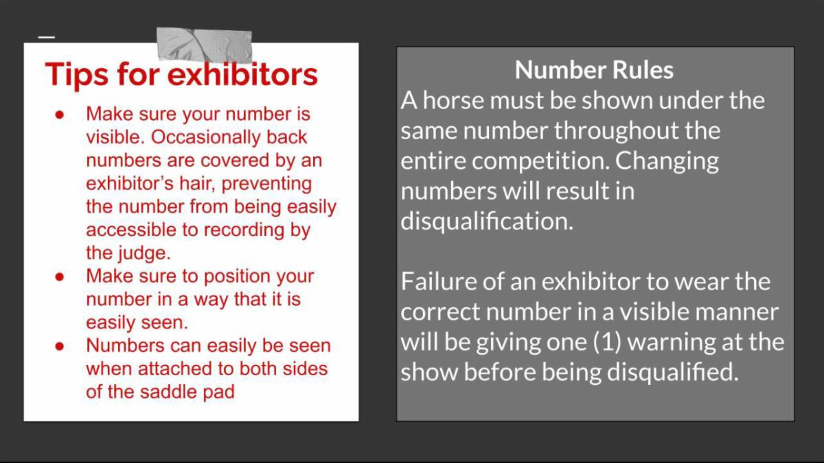 GVHS Member, Let's Go Horse Show