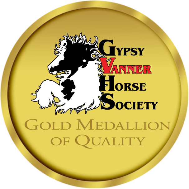 GVHS Member, Let's Go Horse Show