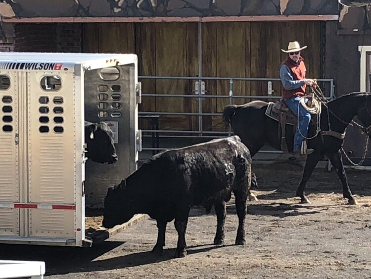 Grazing Conference - May 25-26, 2022 - presented by Roots of Resilience