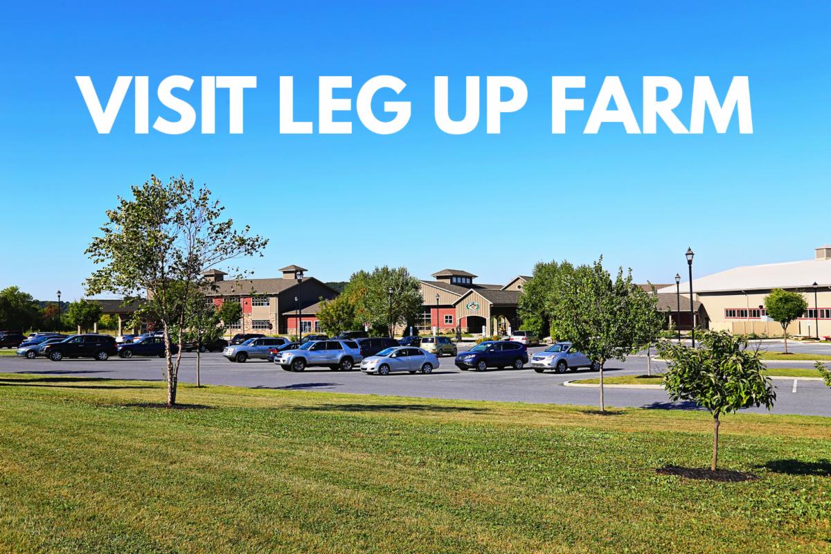Leg Up Farm Franklin County Update