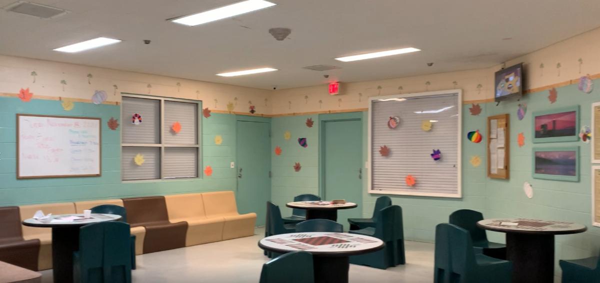 PEMHS CONSUMER SATISFACTION SURVEY - CSSU