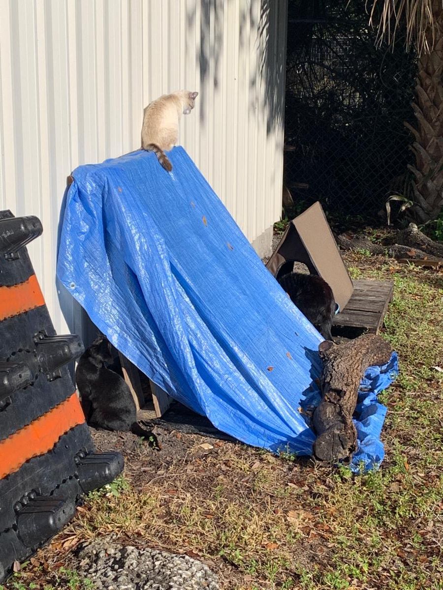 March 2022 Newsletter 😍