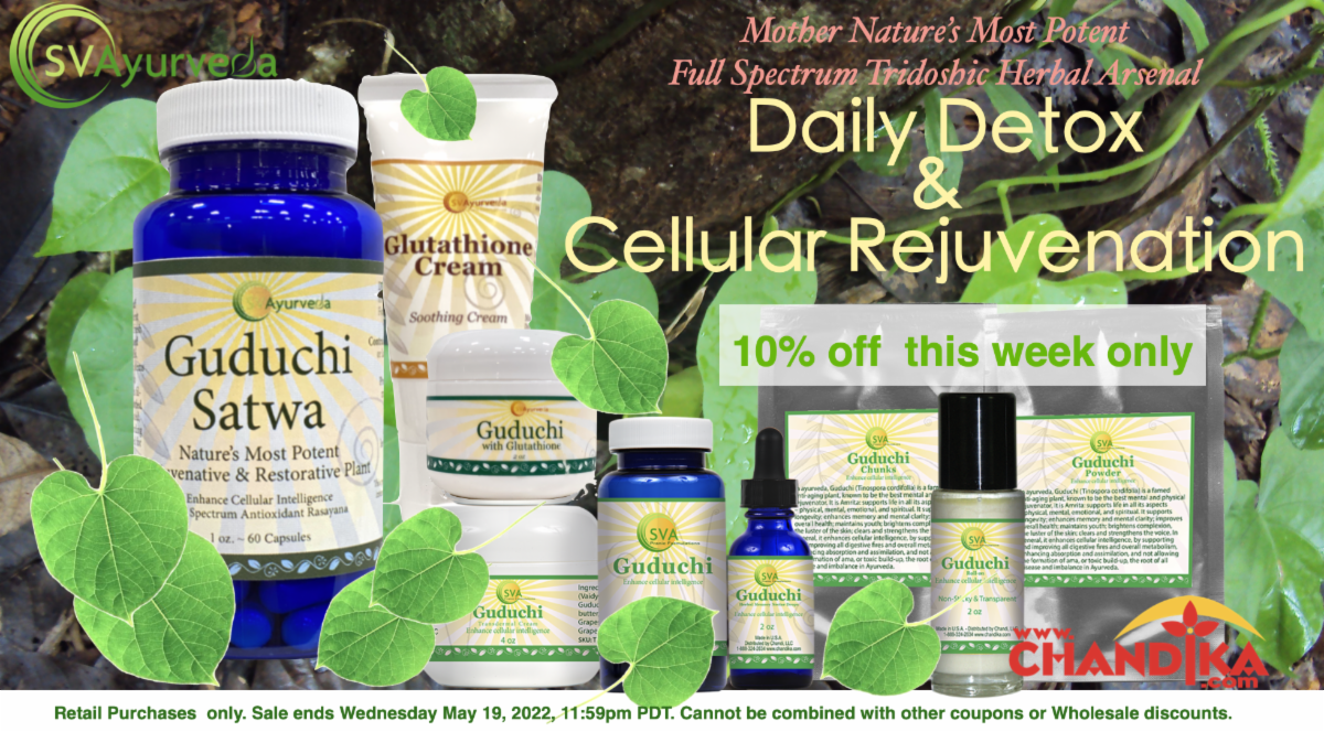 Guduchi: What's It For & Why Is It "Divine"? - with Dr Teitelbaum ...