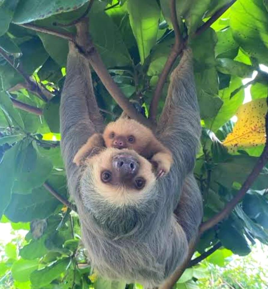 LAST WEEKEND TO SAVE - Costa Rica 2026 — Your Breakthrough Awaits