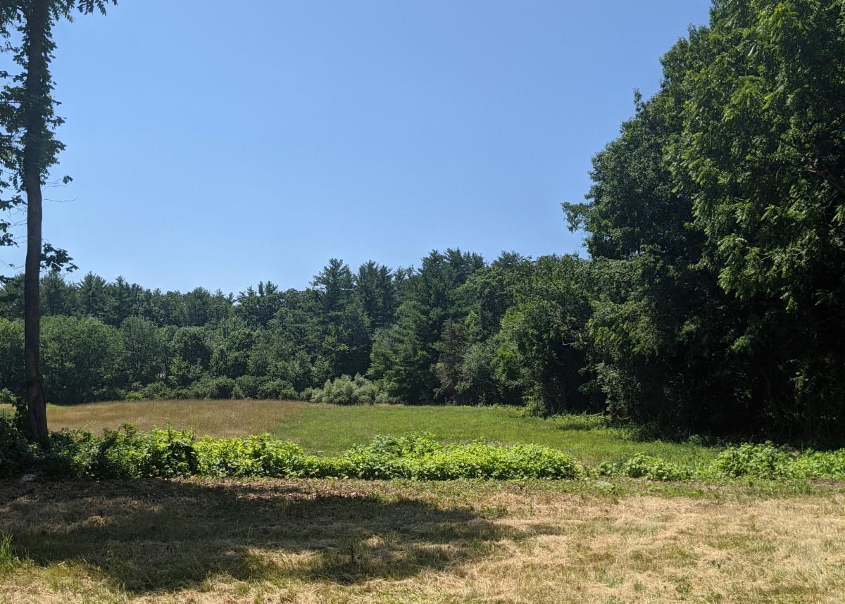 4.39 Acre Homesite in Exeter, NH