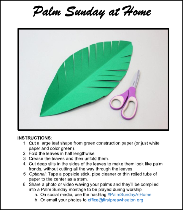 Palm Leaf Activity
