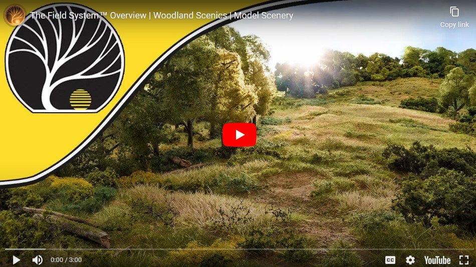 Scenic View - Moonlite Motor Court NOW AVAILABLE