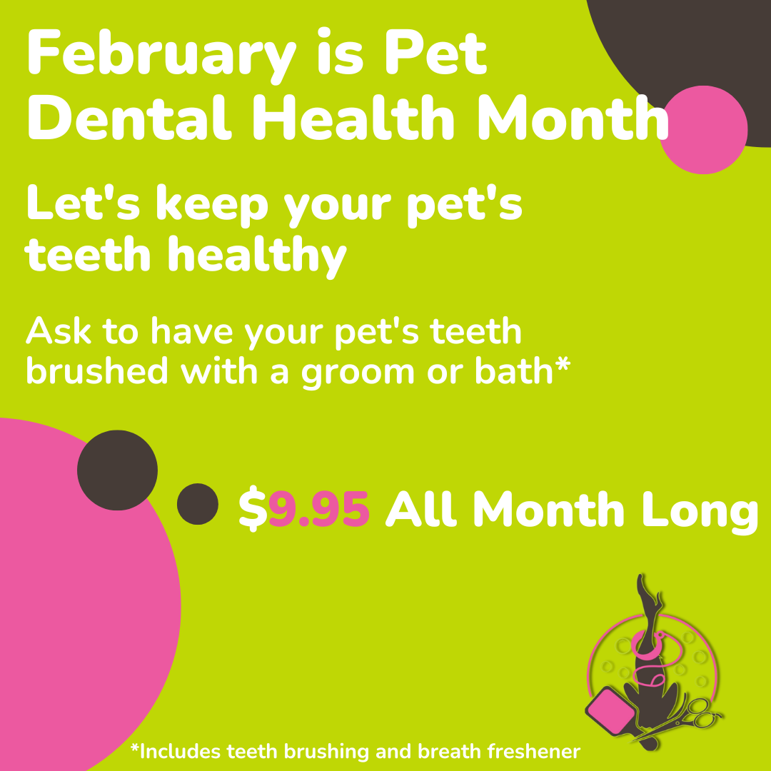 February is Pet Dental Health Month
