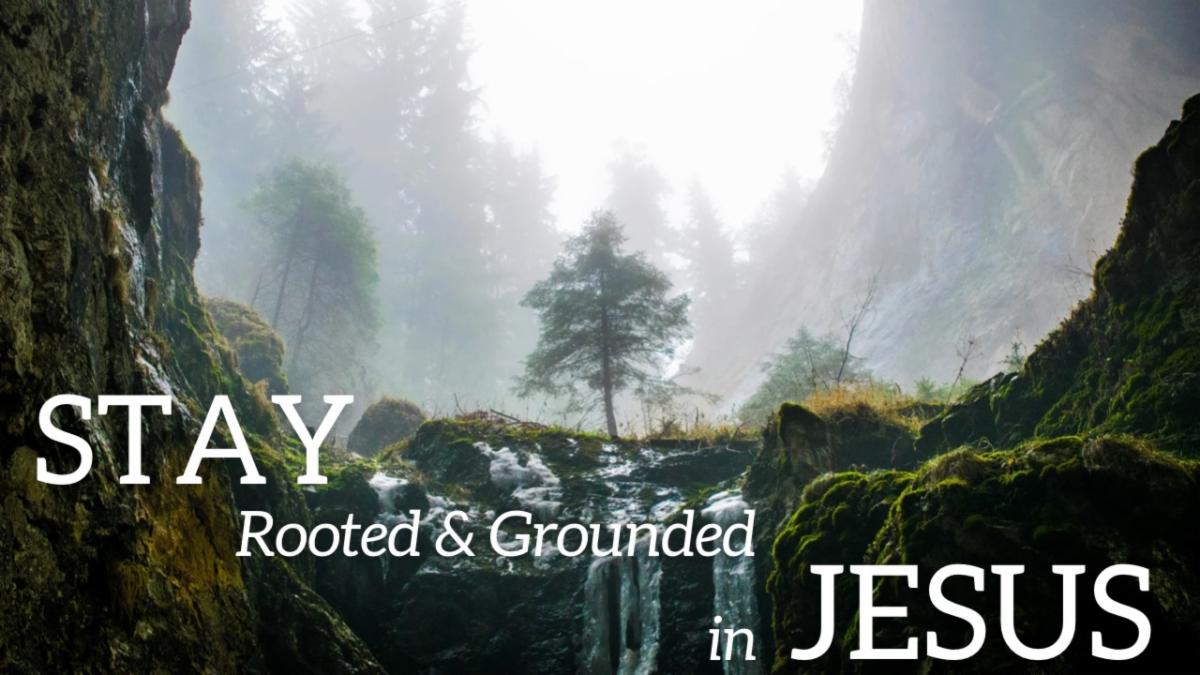 Rooted in the Rock Christ Jesus