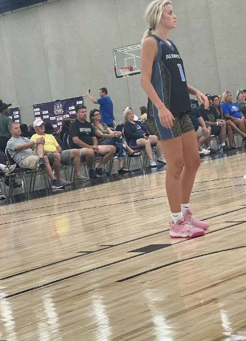 Roses Rising Stars