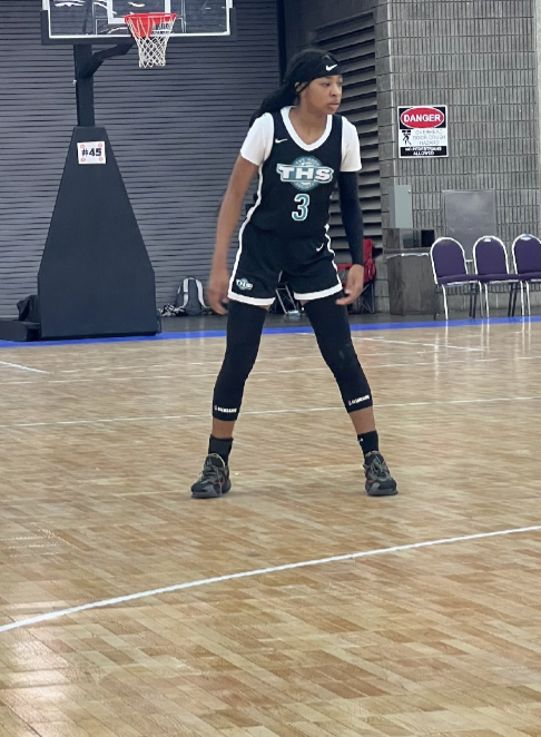 Roses Rising Stars