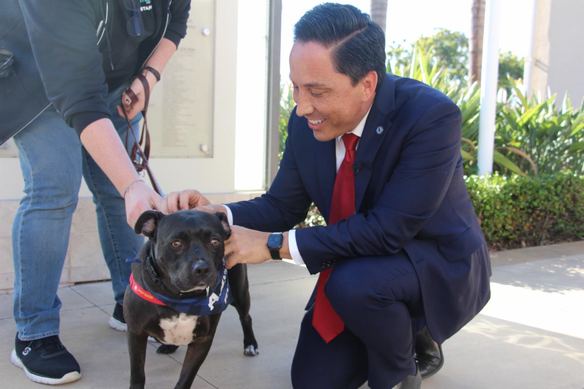 Weekly Update from Mayor Gloria