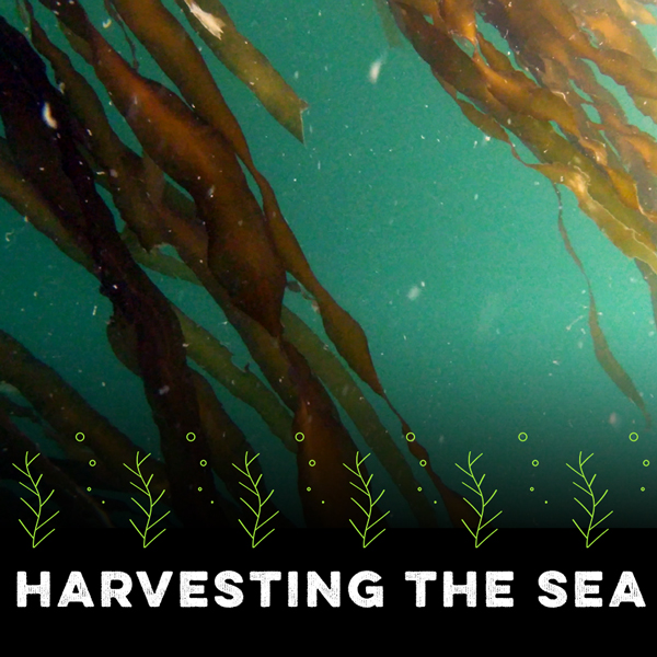 Fixing Food - innovative ways to reduce our food carbon footprint