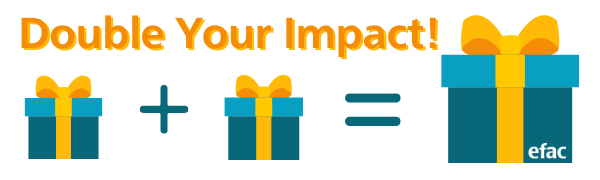Surrounded by Support | the EFACtor Quarterly Newsletter