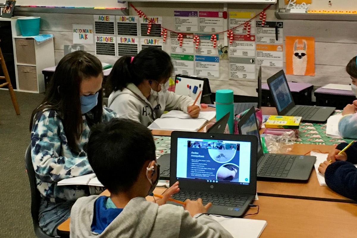 e-News: Students Learn and Grow in the Cypress School District!