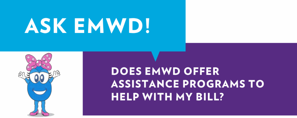 Your May 2021 eConnect is here!