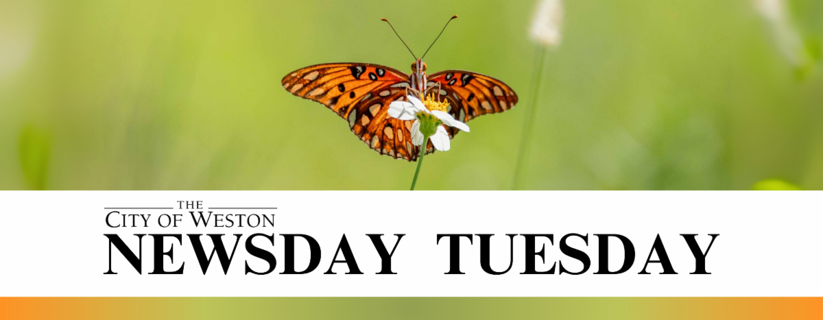 Newsday Tuesday | September 2, 2025