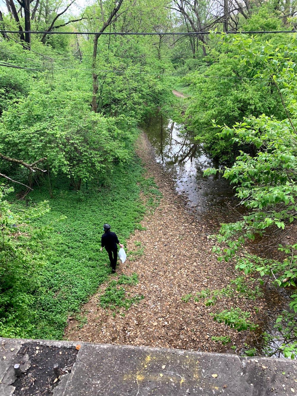 Springfield Ward 3 Newsletter - April 2021