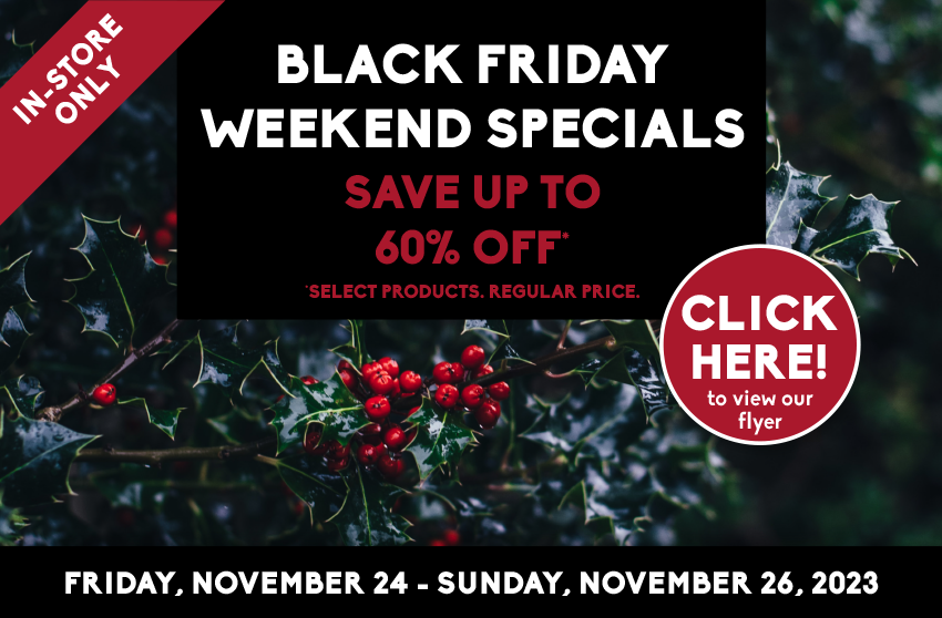 New Black Friday Weekend and Cyber Monday Special Flyer Preview!