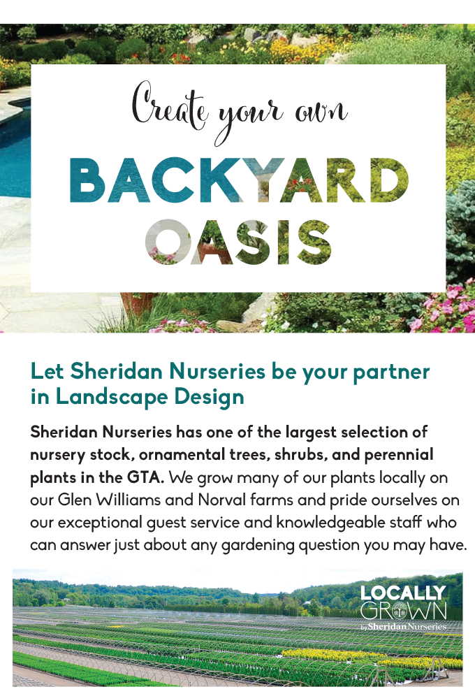 Create your own backyard oasis