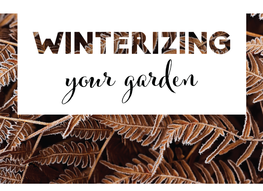 Time for winter garden preparation