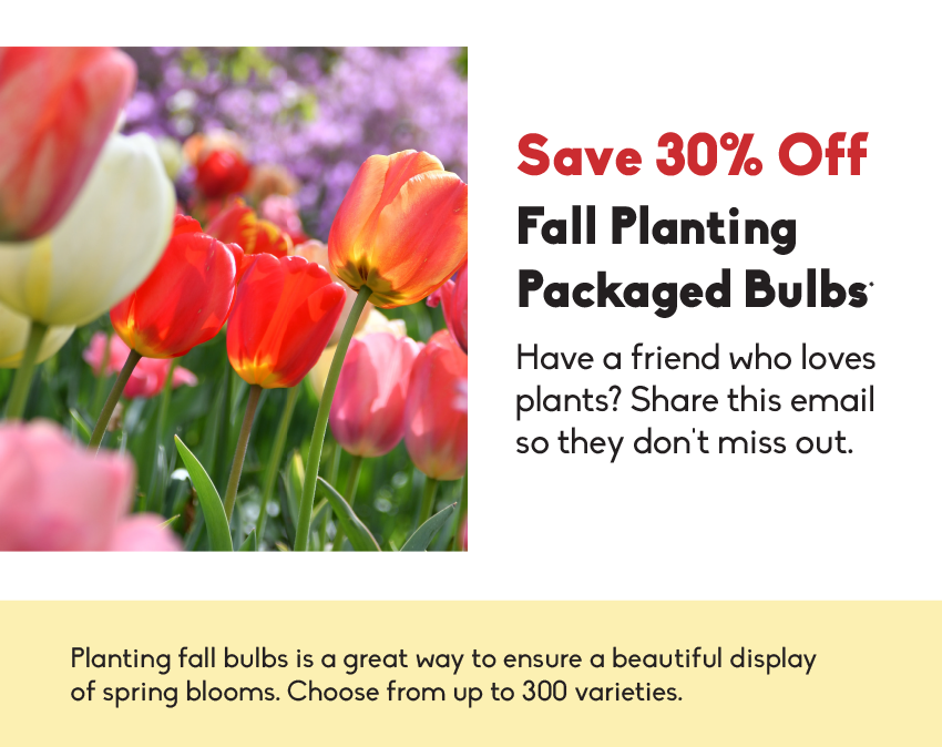 30% Off Fall Planting Packaged Bulbs WEDNESDAY, September 27th One Day Only