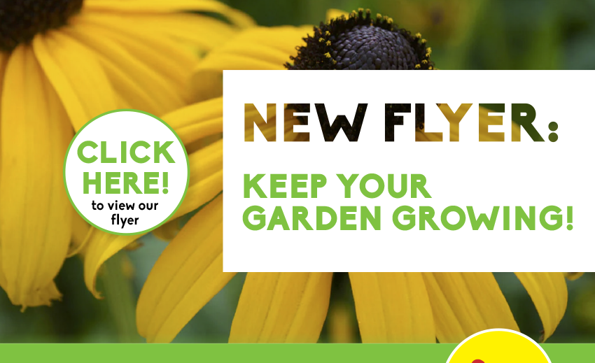 New Flyer Preview: Keep your garden growing!