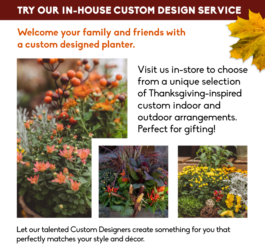 Thankful for our gardens