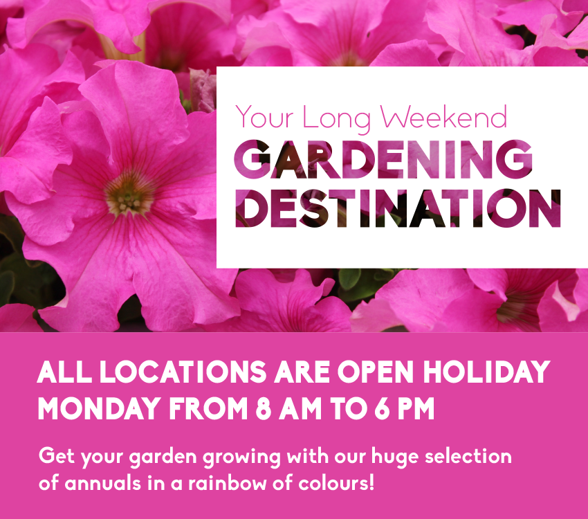 Sheridan Nurseries is Your Long Weekend Gardening Destination