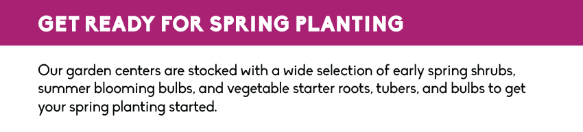 Our New Spring Flyer is Here!