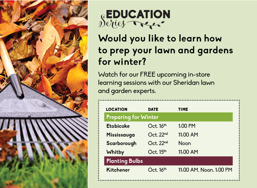 Time for winter garden preparation