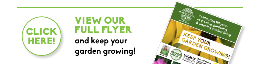 New Flyer Preview: Keep your garden growing!
