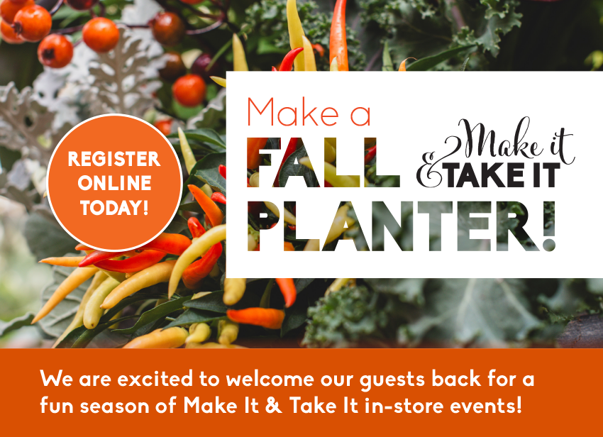Join us this September to make a Fall Planter