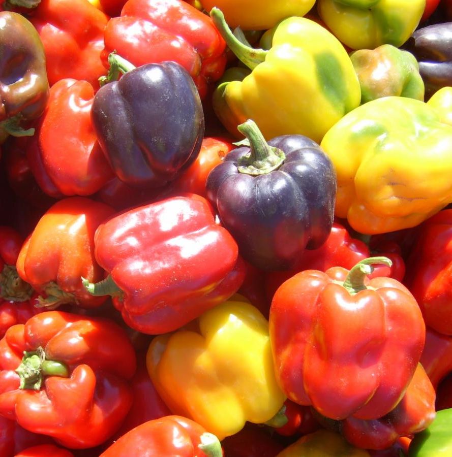 NOW Is Peak Season for Colorado Fruits and Vegetables