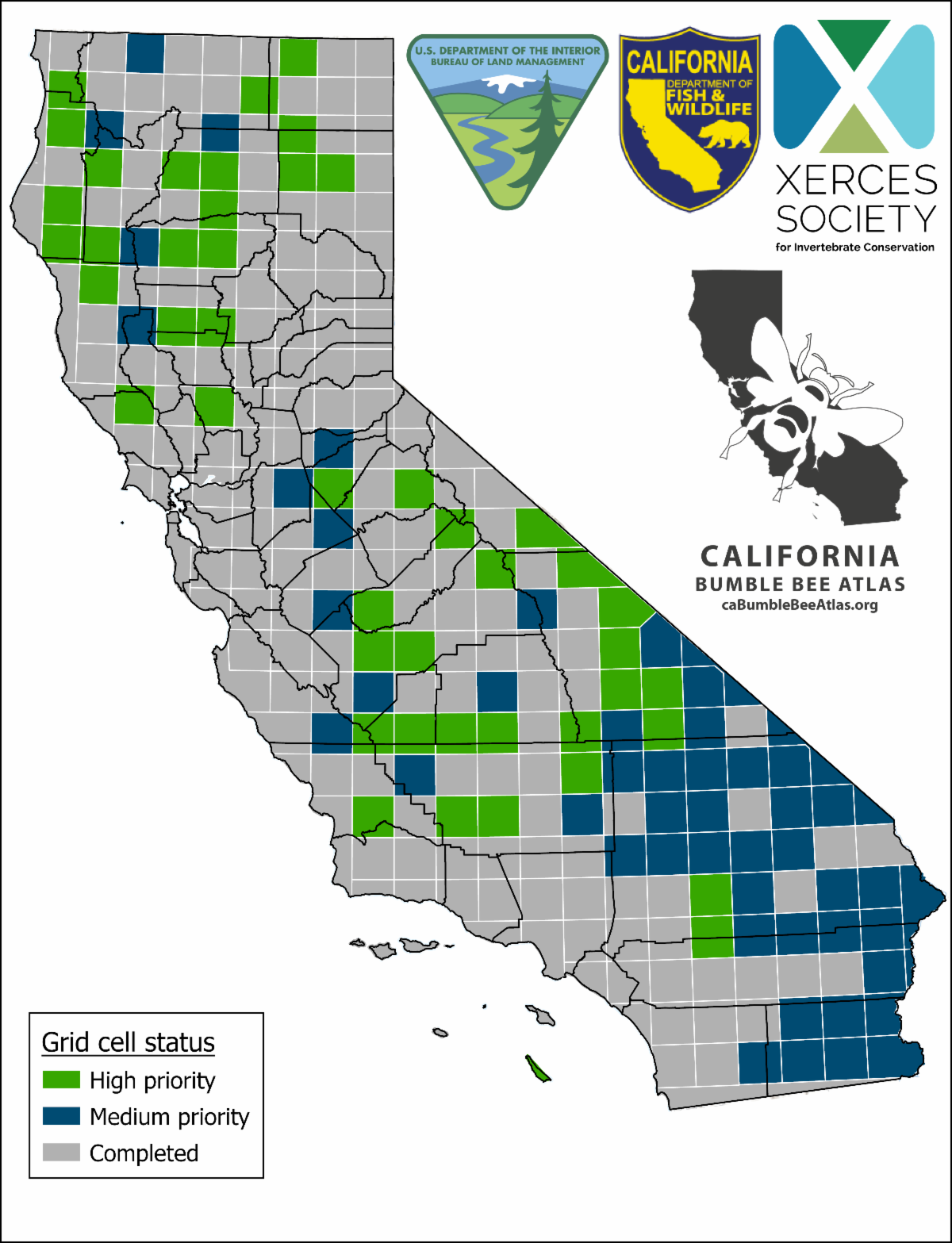 California Bumble Bee Atlas