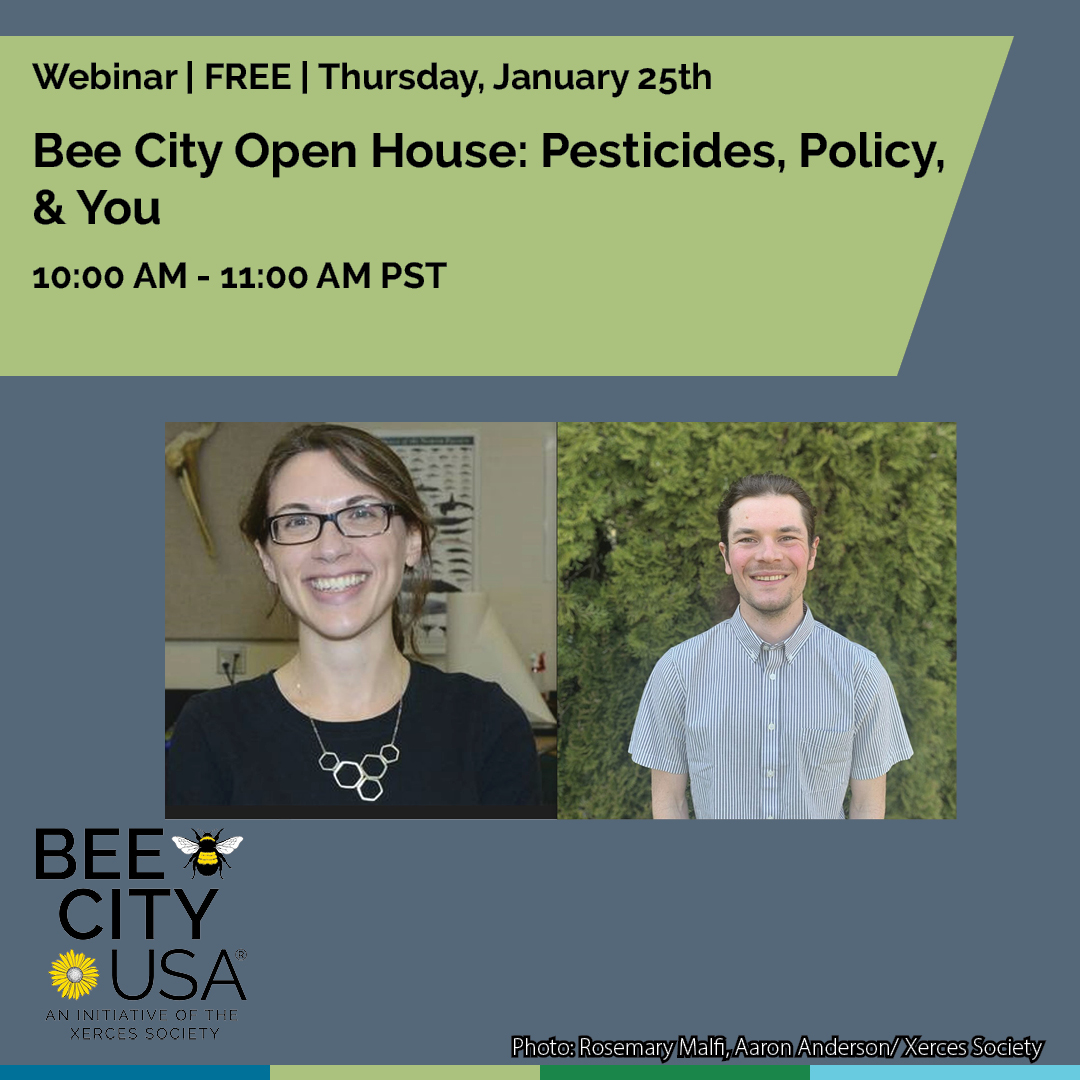Bee City & Campus USA Dec E-News