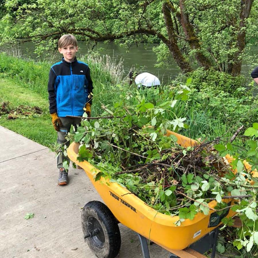 How to Be Pollinator Safe at Home and in Your Community