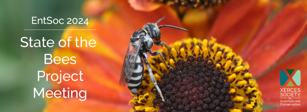 Entomological Society of America Annual Meeting - Nov. 9 and 10, 2024 ...