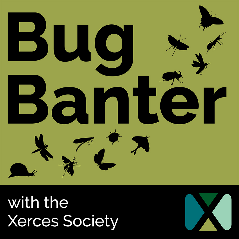 Western monarch butterfly population declines Western monarch butterfly population declines