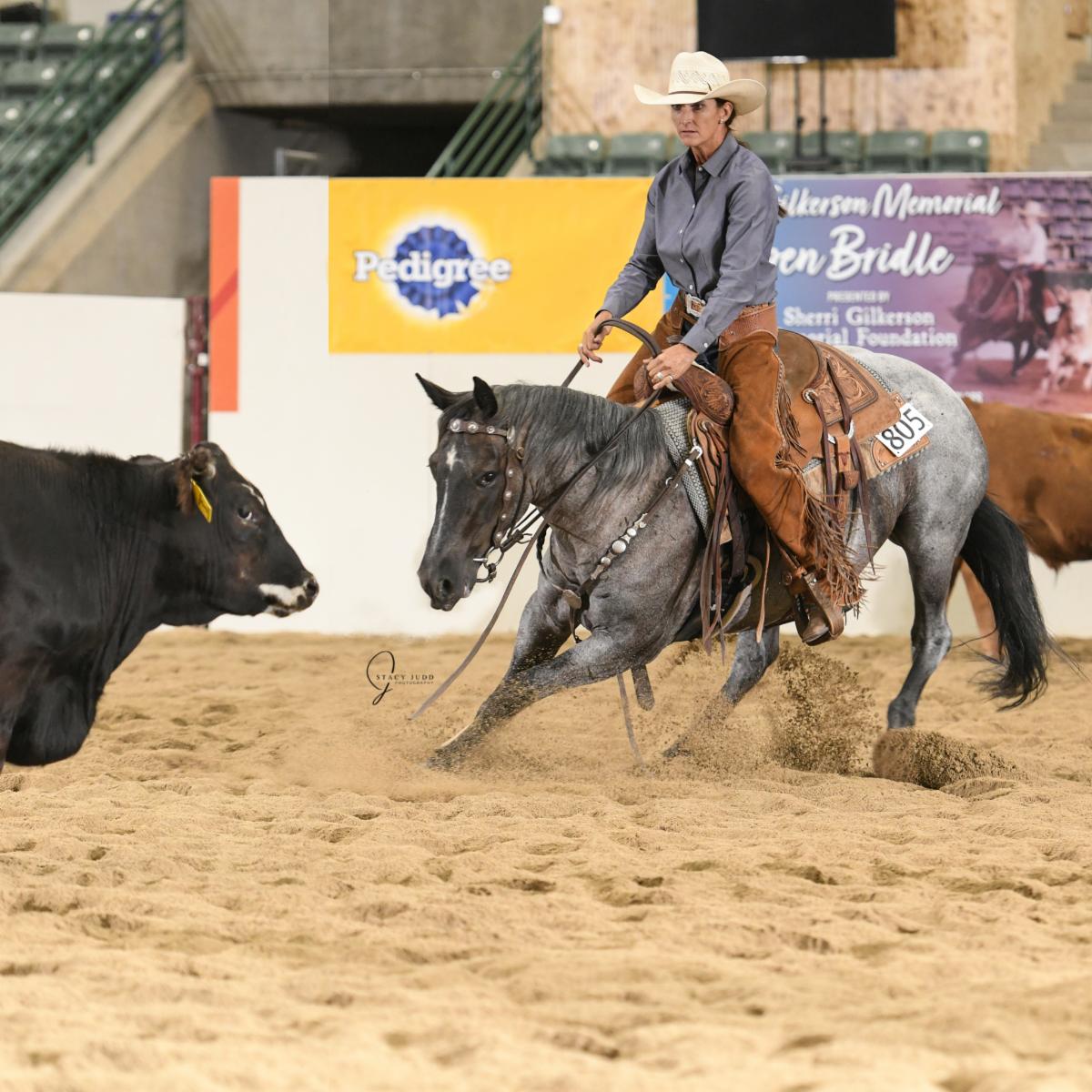 Four Sixes Ranch Cutting, Cow Horse & Roping News!