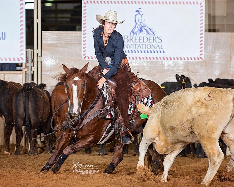 6666 Ranch Stallion Performers Make their Mark!