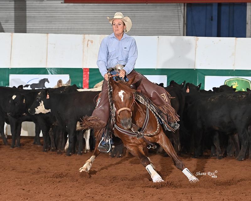 Roping-Cow Horse-Cutting • 6666 Ranch Stallion Performers Making an Impact!