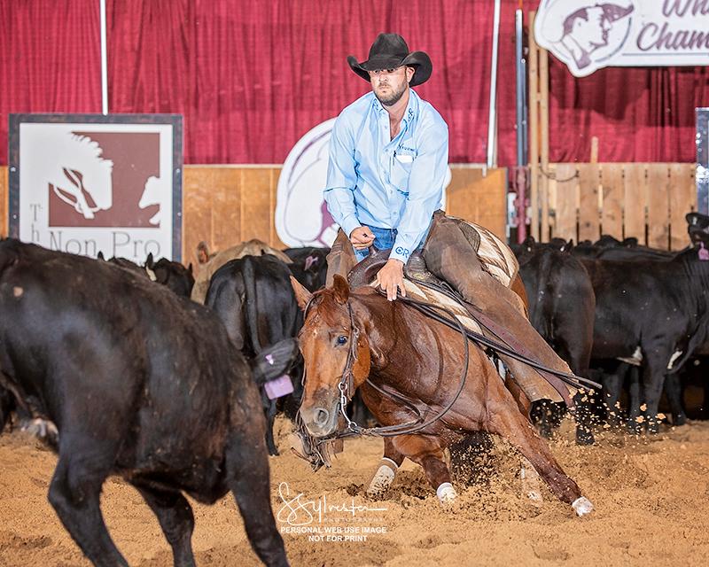 Roping-Cow Horse-Cutting • 6666 Ranch Stallion Performers Making an Impact!